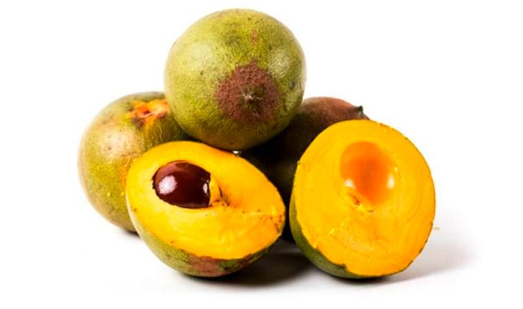 Lucuma - Fito Export