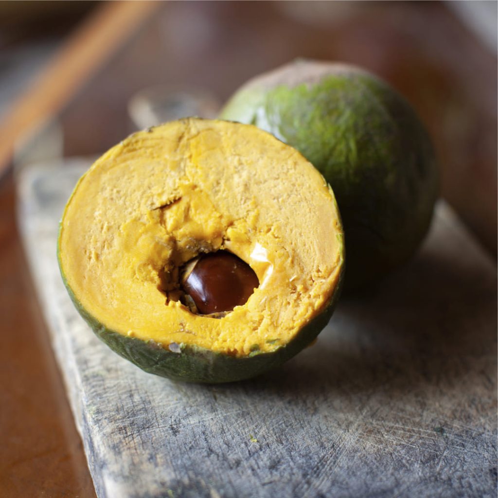 Inicio - Fito Export